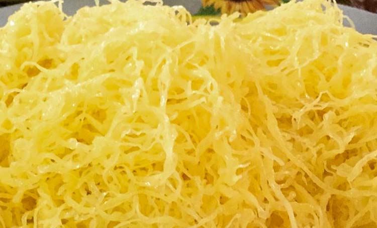 രുചി കൊണ്ട് സ്നേഹമൂട്ടുന്ന നാട്-Divine Delicacies of Malabar | Indian ...