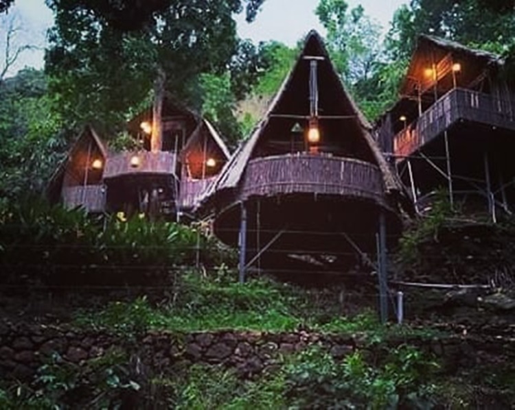 Tree houses in Kerala, Eco friendly kerala tree house, Munnar tree ...